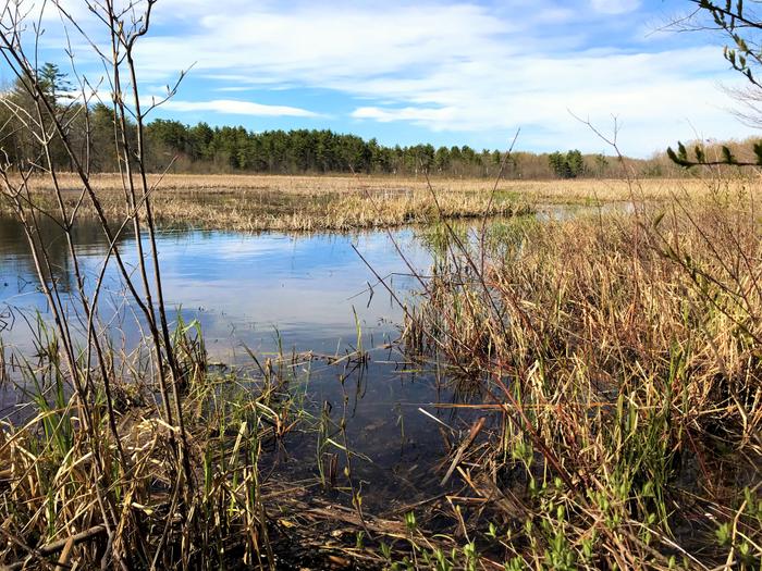 Snow Pond Community Trails - Maine Trail Finder
