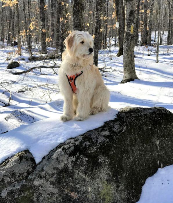 Snow Pond Community Trails - Maine Trail Finder
