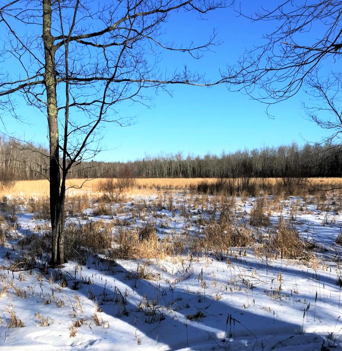 Snow Pond Community Trails - Maine Trail Finder