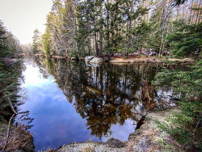 Tanglewood Trails - Maine Trail Finder