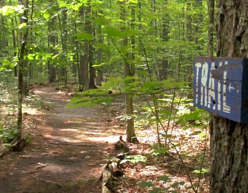 Tassel Top Park - Maine Trail Finder