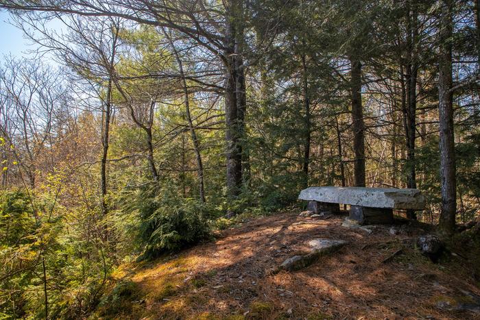 Vienna Woods Conservation Area - Maine Trail Finder