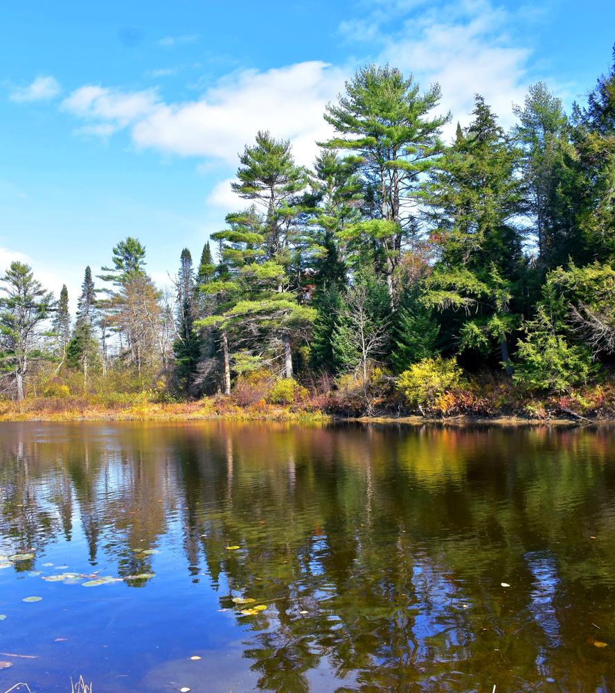 Wesserunsett Stream Preserve - Maine Trail Finder