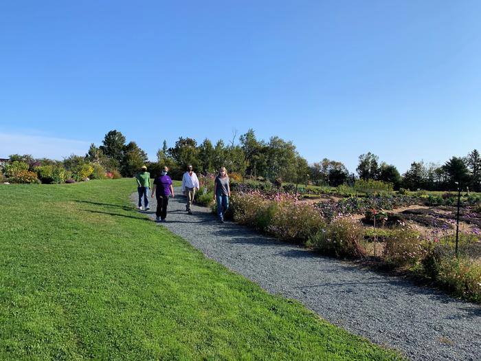 Milbridge Commons Walking Trail - Maine Trail Finder