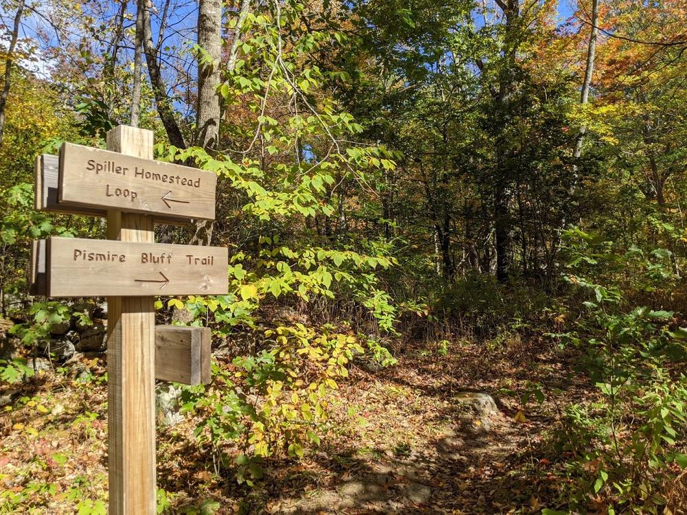 Raymond Community Forest - Maine Trail Finder