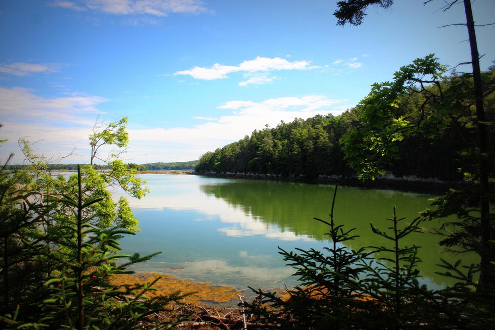 Bowdoin Coastal Studies Center - Maine Trail Finder