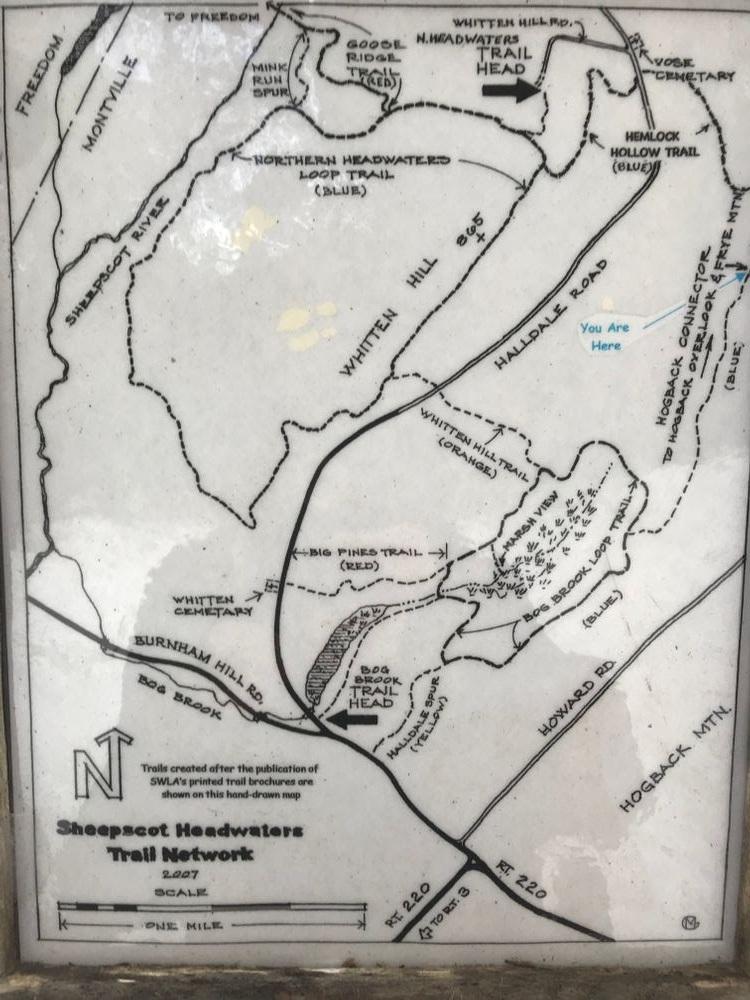 Bog Brook Trail Cluster - Maine Trail Finder