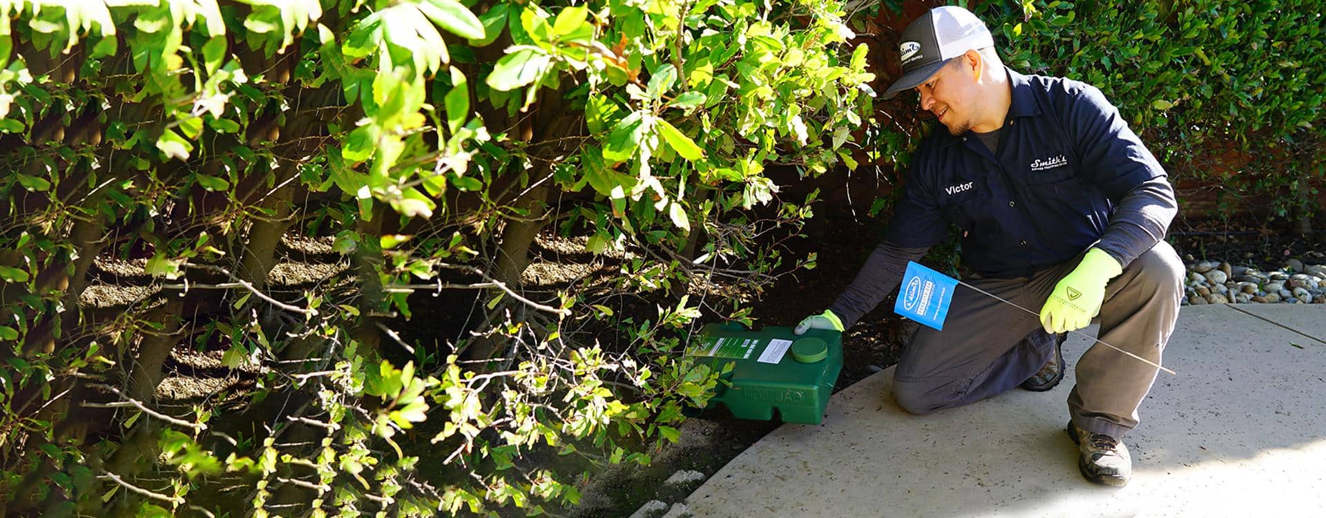 Ground Squirrel Control | Trapping & Fumigation For The Bay Area