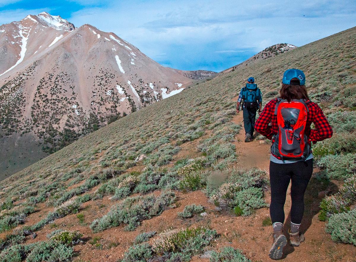 Nevada Trail Finder : Find Your Next Adventure