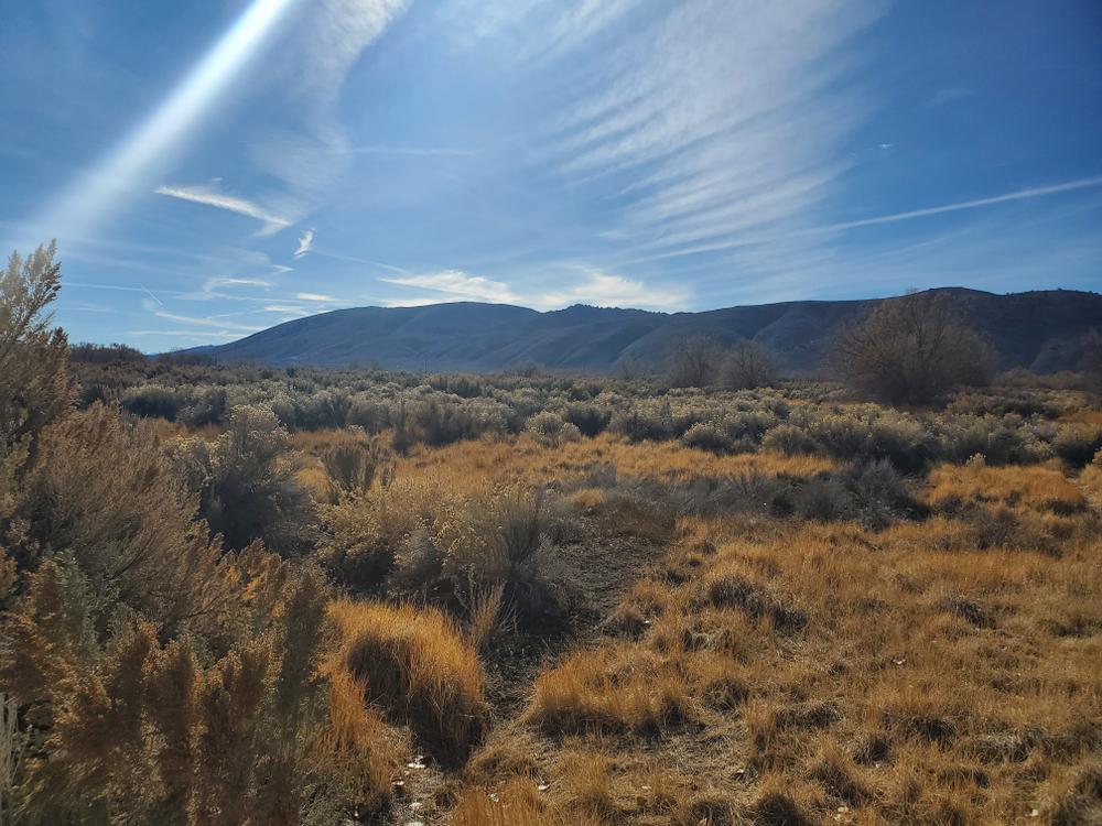 Carson River Walking Trails - Nevada Trail Finder