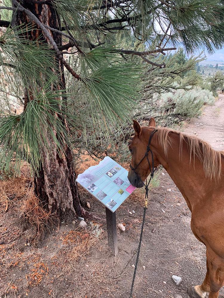 Fay-Luther/Jobs Peak Ranch Trail System - Nevada Trail Finder