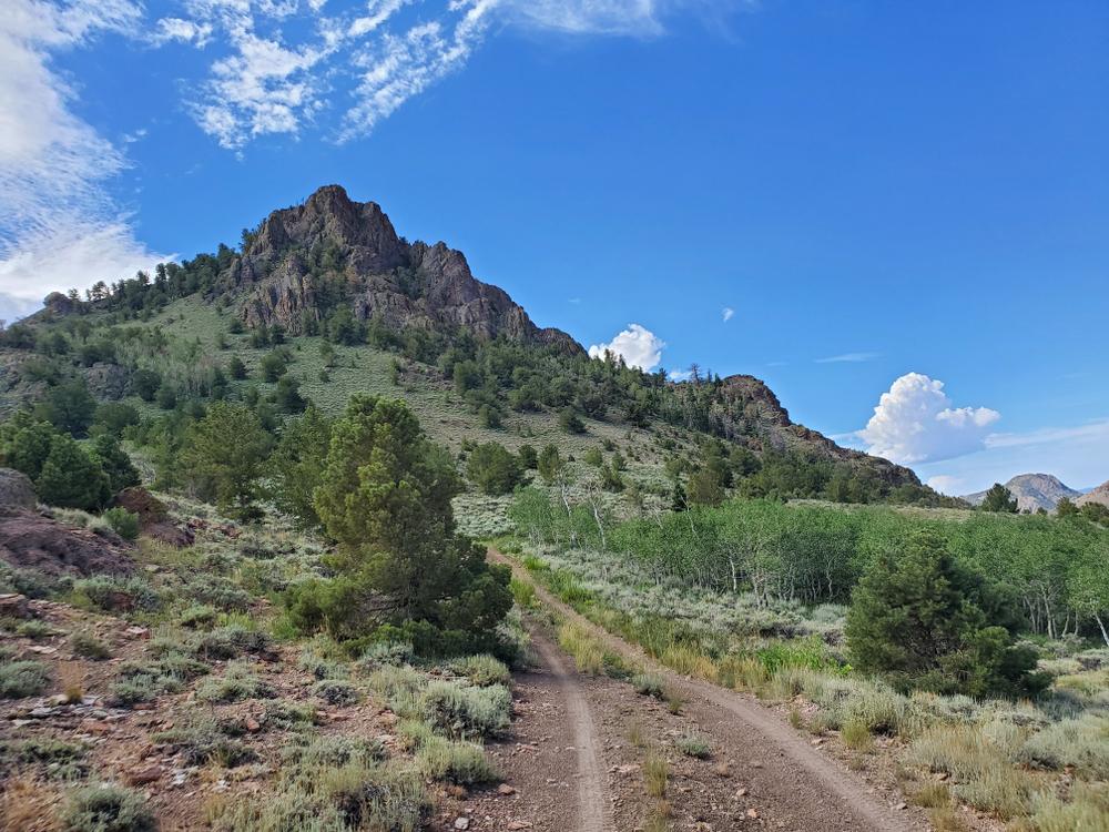 Ranger OHV Trail - Nevada Trail Finder