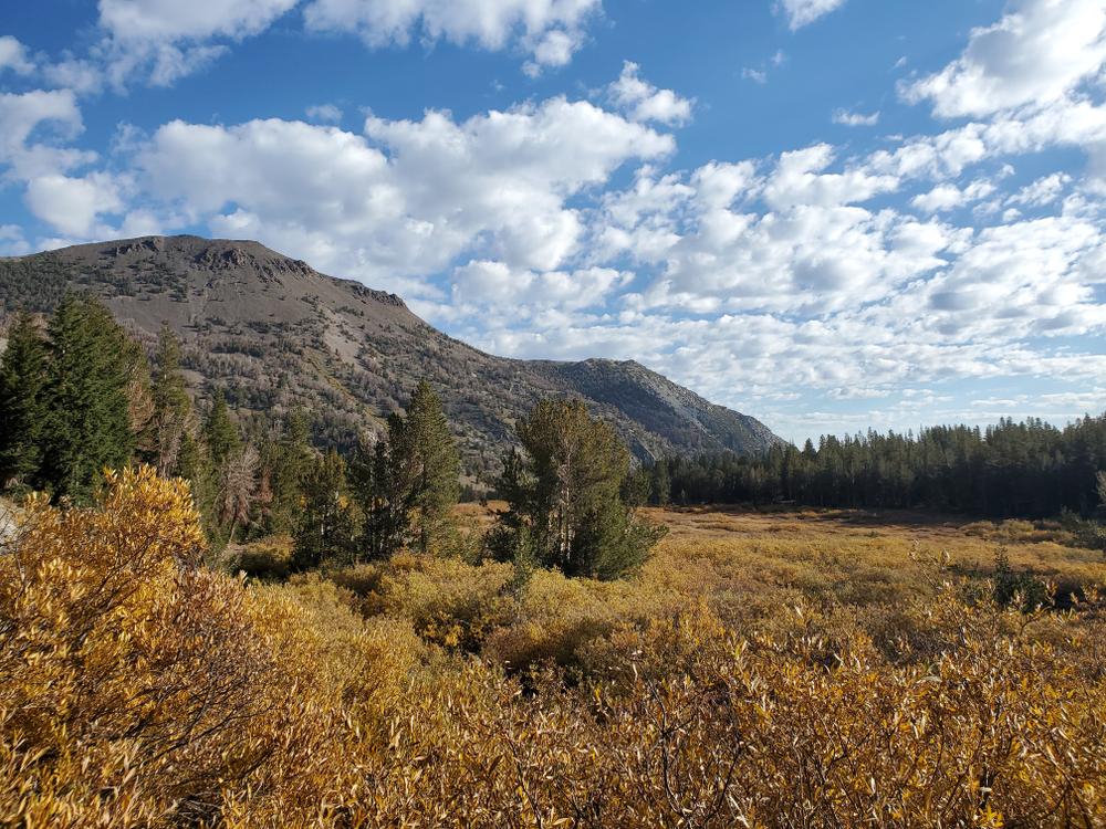 Mt Rose Wilderness - Nevada Trail Finder
