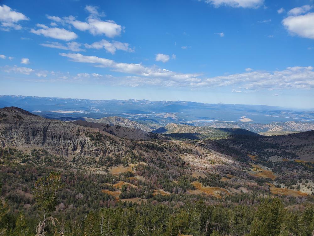 Mt Rose Wilderness - Nevada Trail Finder