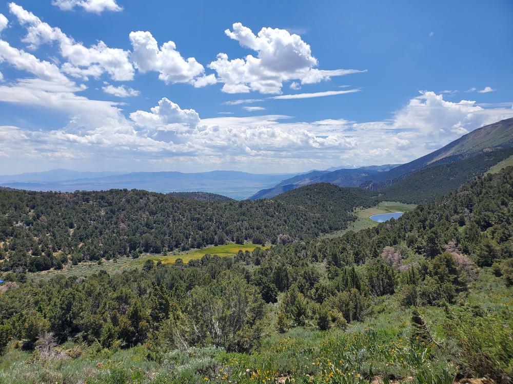 Pine Nut Mountain Range - Nevada Trail Finder