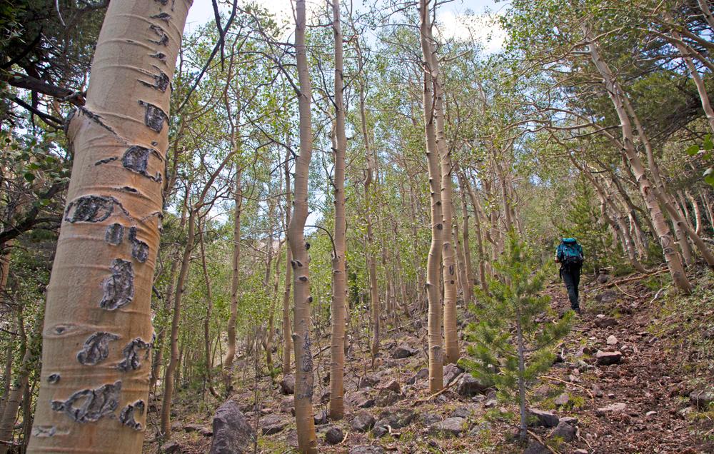 Toquima Mountain Range - Nevada Trail Finder