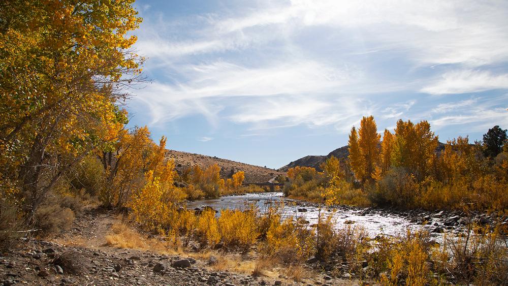 Carson River Aquatic Trail - Nevada Trail Finder