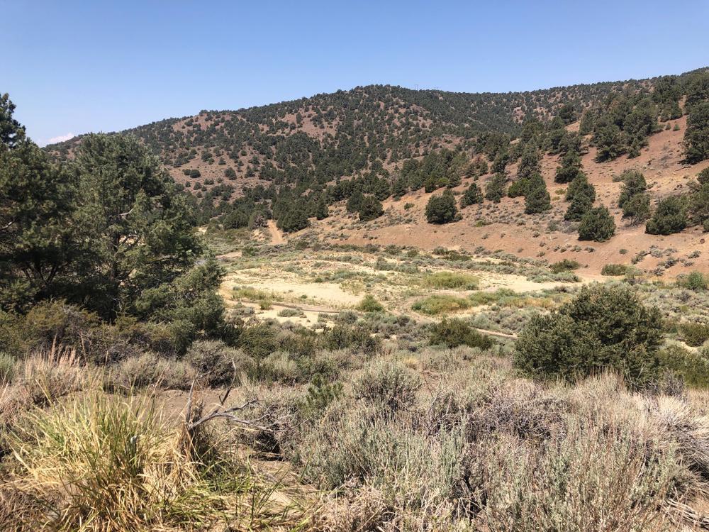 Pine Nut Mountain Range - Nevada Trail Finder