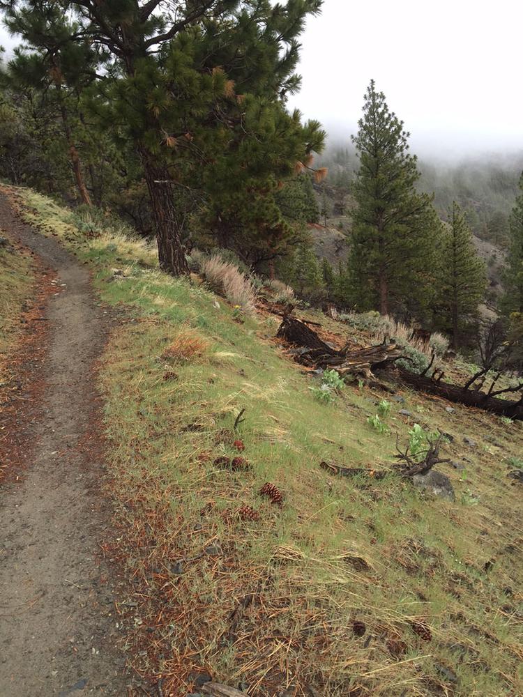 Genoa Trail System - Nevada Trail Finder