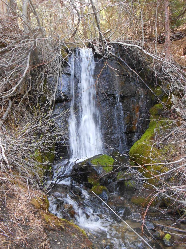 Genoa Trail System - Nevada Trail Finder