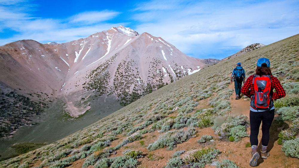 Boundary Peak - Nevada Trail Finder