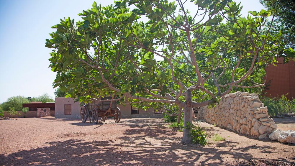 Old Las Vegas Mormon Fort State Historic Park - Nevada Trail Finder