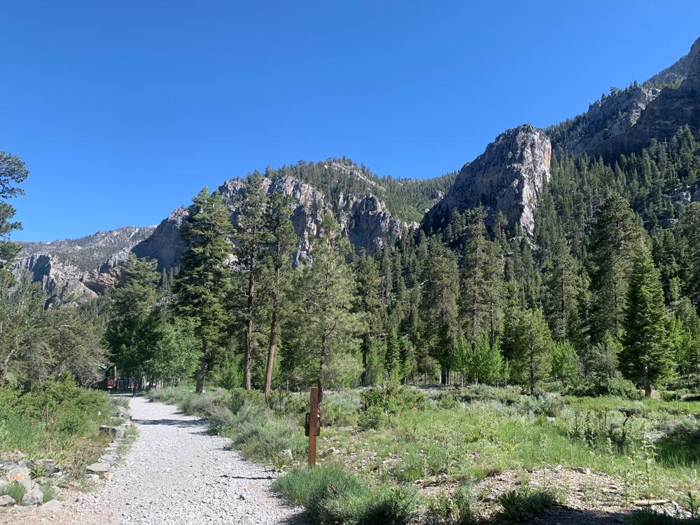 Spring Mountain National Recreation Area - Nevada Trail Finder