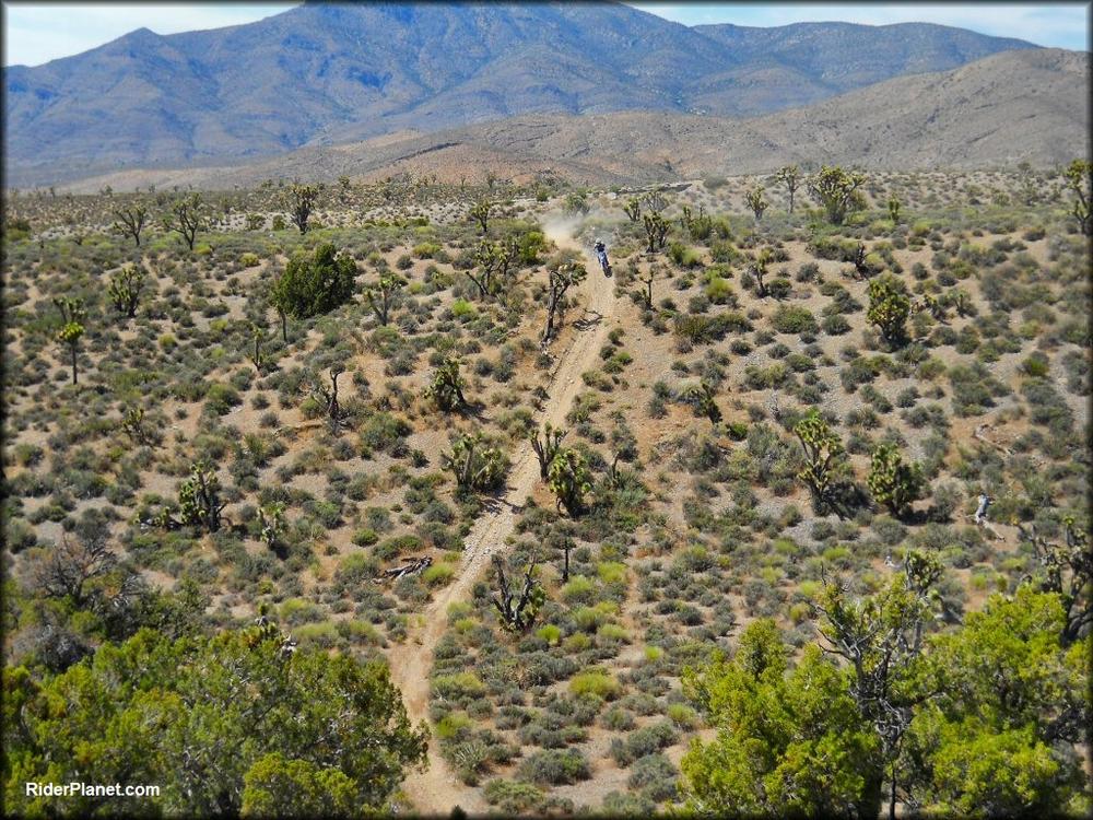 Spring Mountain National Recreation Area - OHV Trails - Nevada Trail Finder