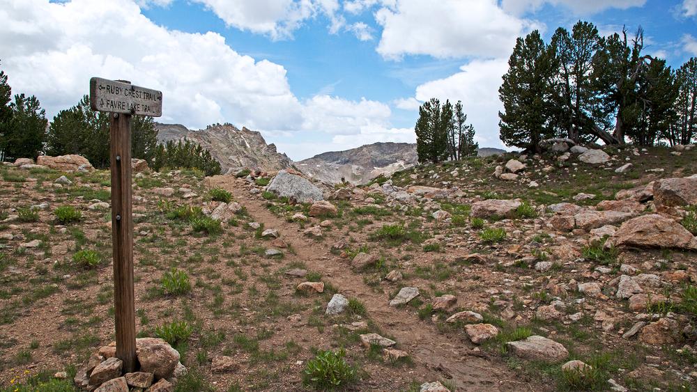 Ruby Crest National Recreation Trail - Nevada Trail Finder