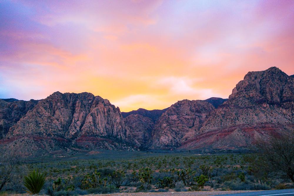 Spring Mountain National Recreation Area - OHV Trails - Nevada Trail Finder