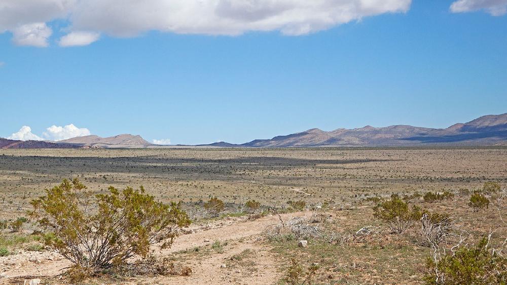 Jean and Roach Dry Lake Beds - Nevada Trail Finder