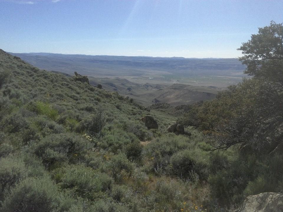 Pine Forest Recreation Area - Nevada Trail Finder