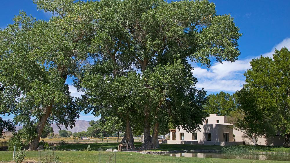 Walker River State Recreation Area - Pitchfork Ranch - Nevada Trail Finder
