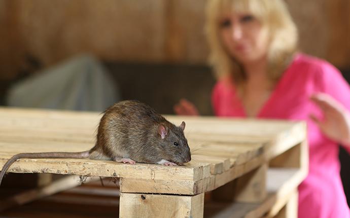 Kittitas County Total Rodent-Prevention Guide