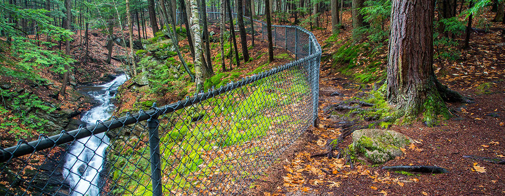 Chesterfield Gorge Natural Area - Trail Finder