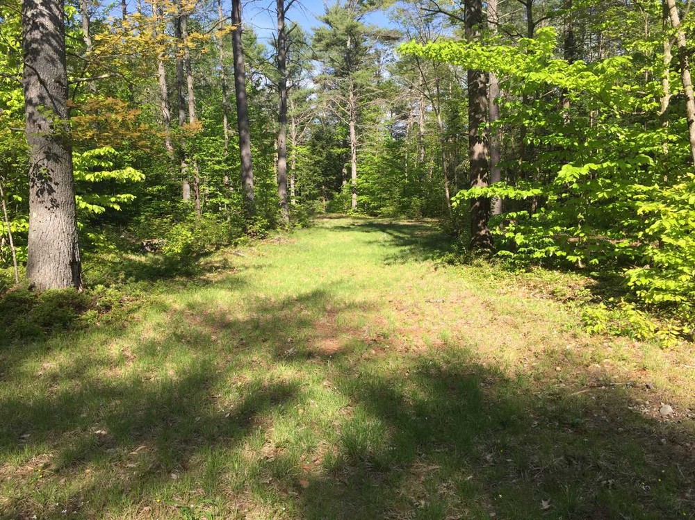 Miriam Hunt Memorial Forest - Trail Finder