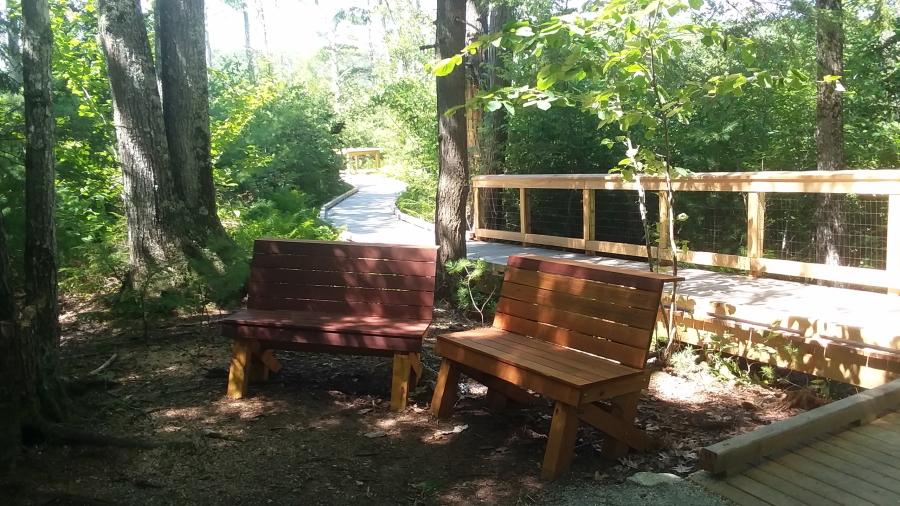 Laverack Nature Trail at Hawkins Brook - Trail Finder