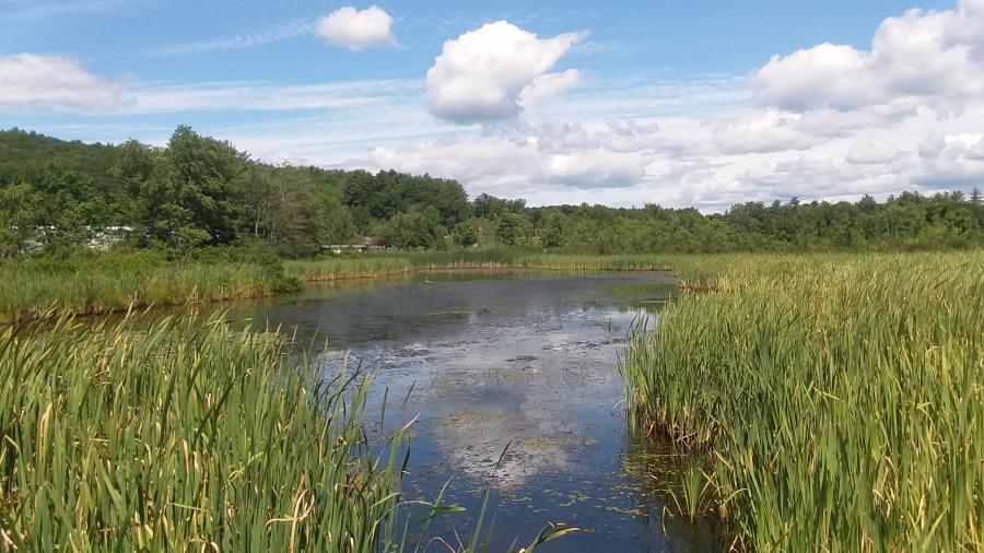Laverack Nature Trail at Hawkins Brook - Trail Finder