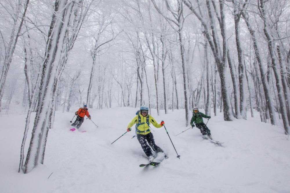 Crescent Ridge Glade - Trail Finder