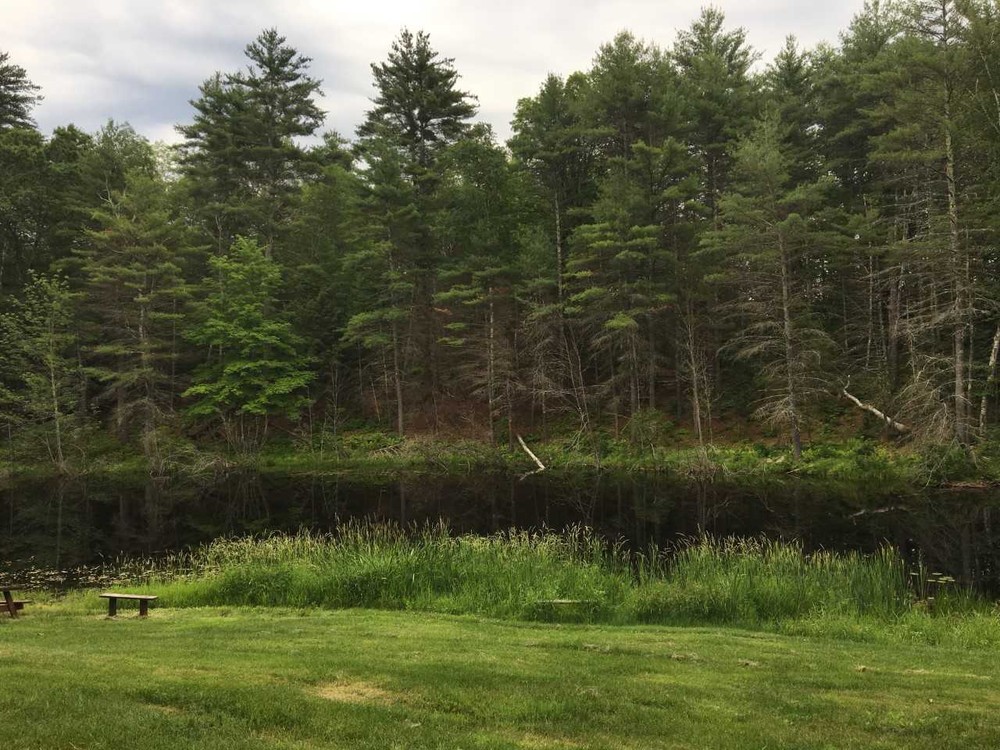 Fox Run Park - Trail Finder