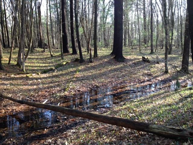 Bellamy River Wildlife Sanctuary - NH Audubon - Trail Finder