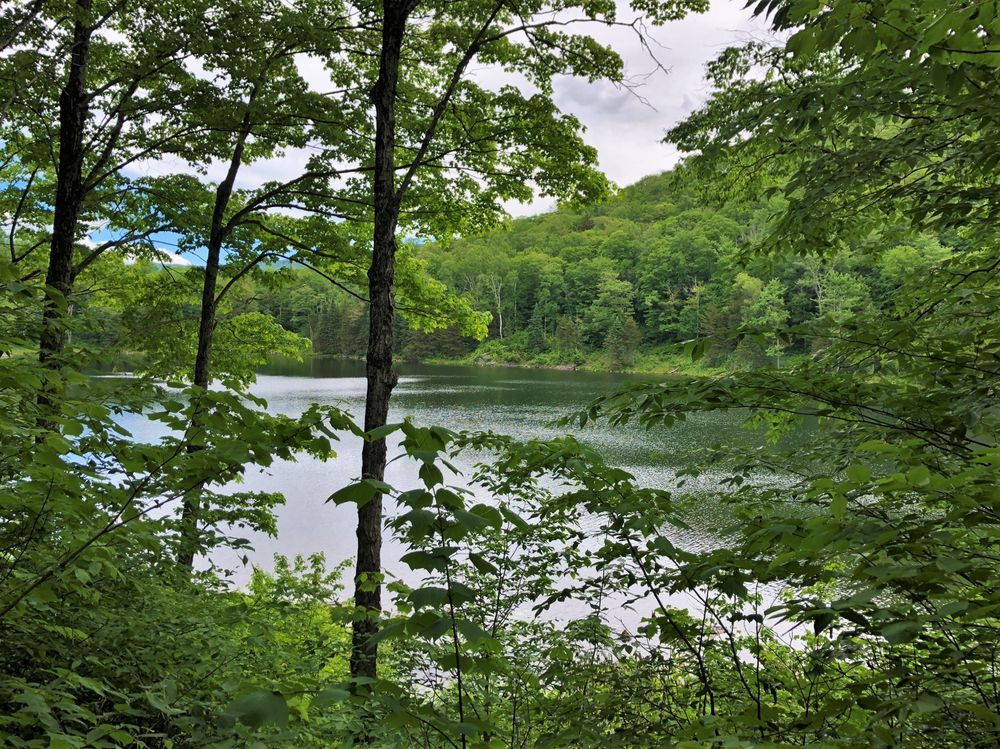 Big Muddy Pond Loop - Trail Finder