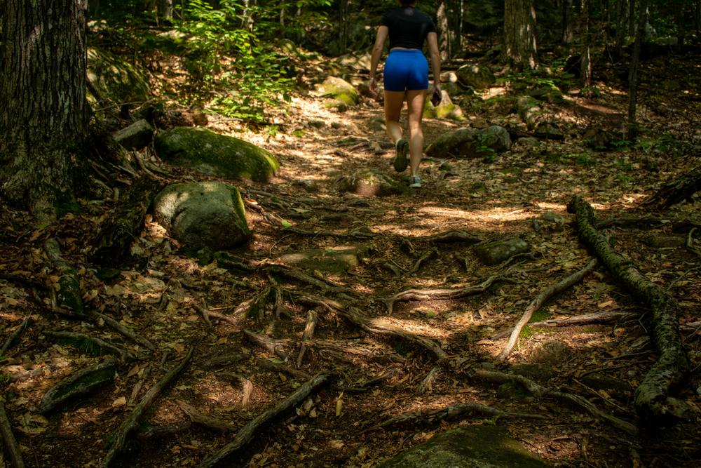 Boulder Loop Trail - Trail Finder