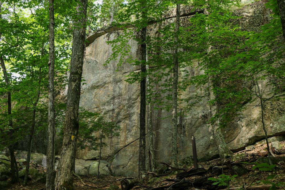 Boulder Loop Trail - Trail Finder