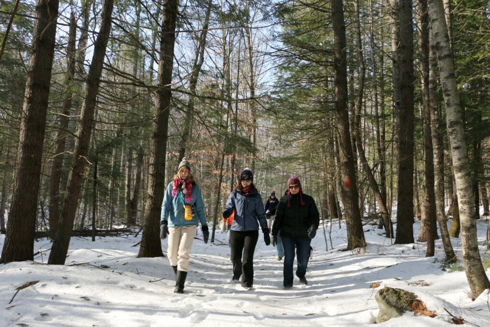 Casey Road Conservation Area - Trail Finder