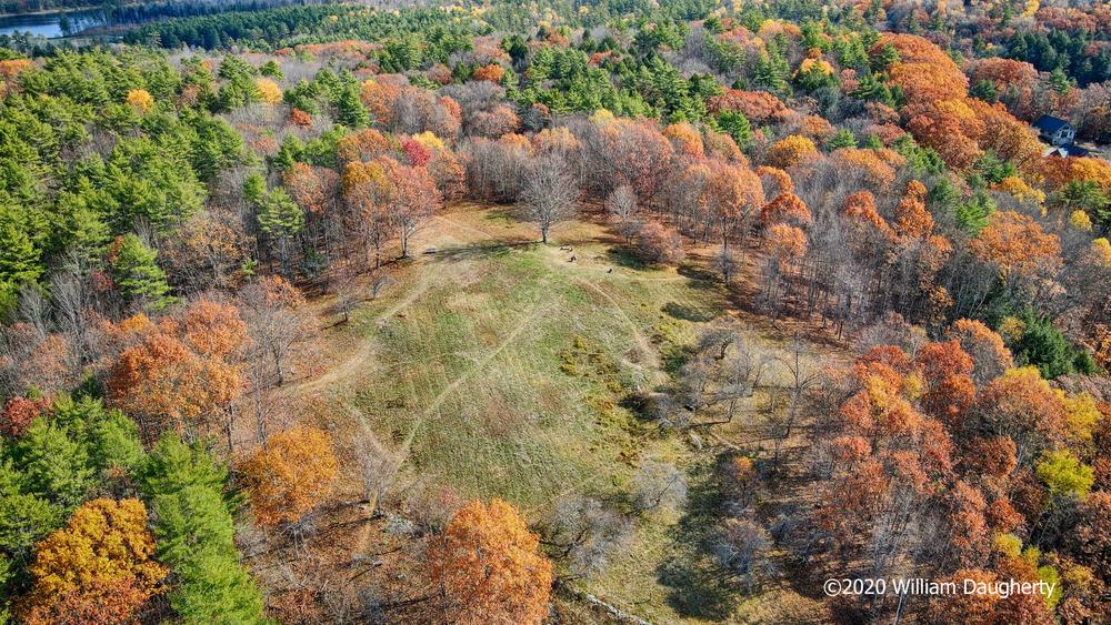 Balch Hill Natural Area Trails - Trail Finder