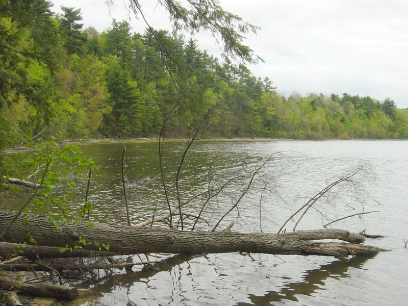Niquette Bay State Park - Trail Finder