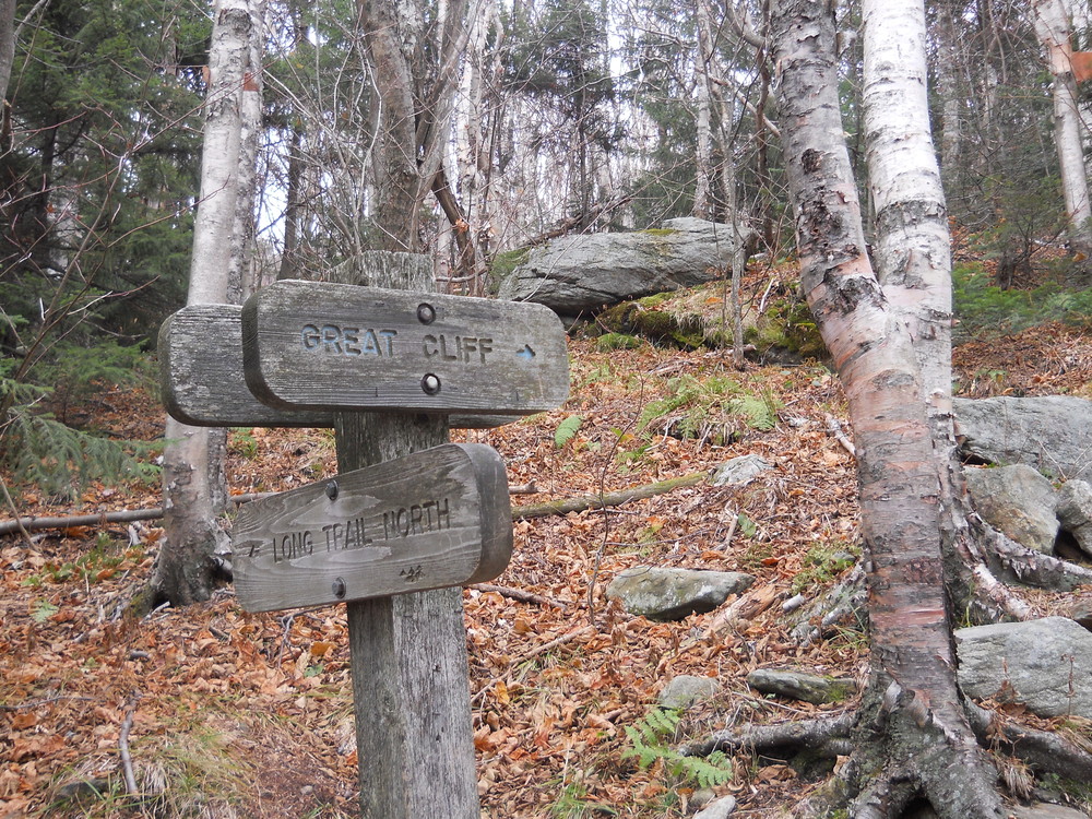 Brandon Gap Great Cliff - Trail Finder