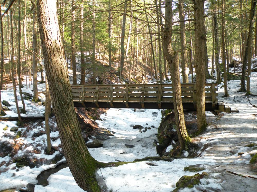 Chesterfield Gorge Natural Area - Trail Finder