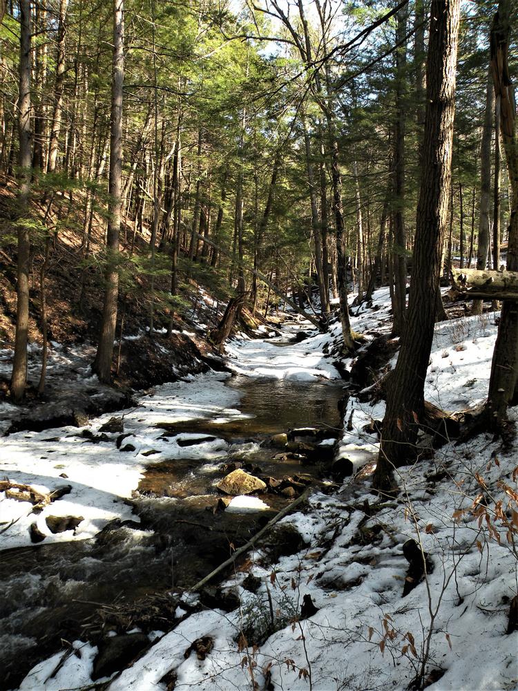Chesterfield Gorge Natural Area - Trail Finder